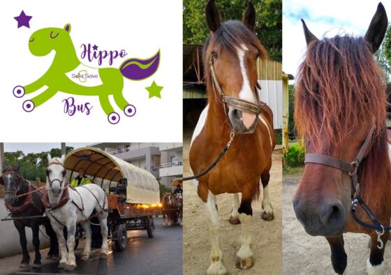 Un hippobus pour "redonner du temps aux enfants"