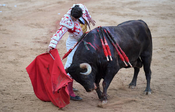 Faut-il interdire la Corrida en France ? | Le fait du jour | Sud ...