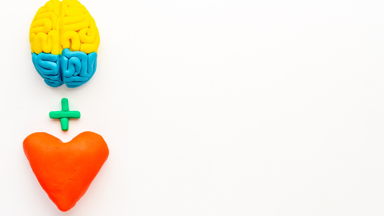 Qu’est-ce que l’intelligence intime ? | Brigitte Lahaie Sud Radio