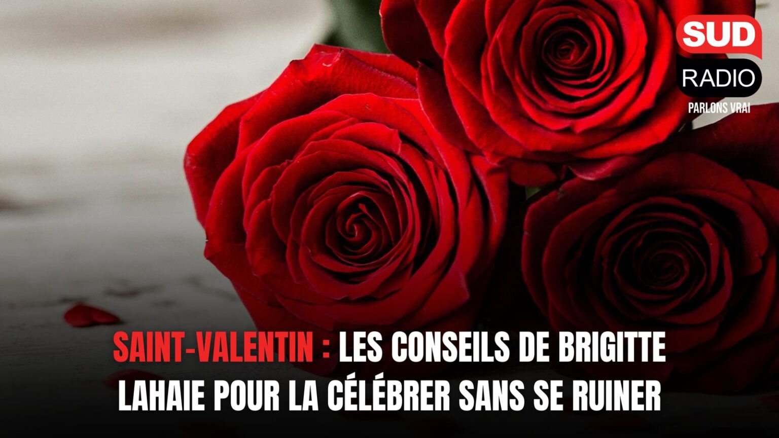 Saint-Valentin : les conseils de Brigitte Lahaie pour la ...